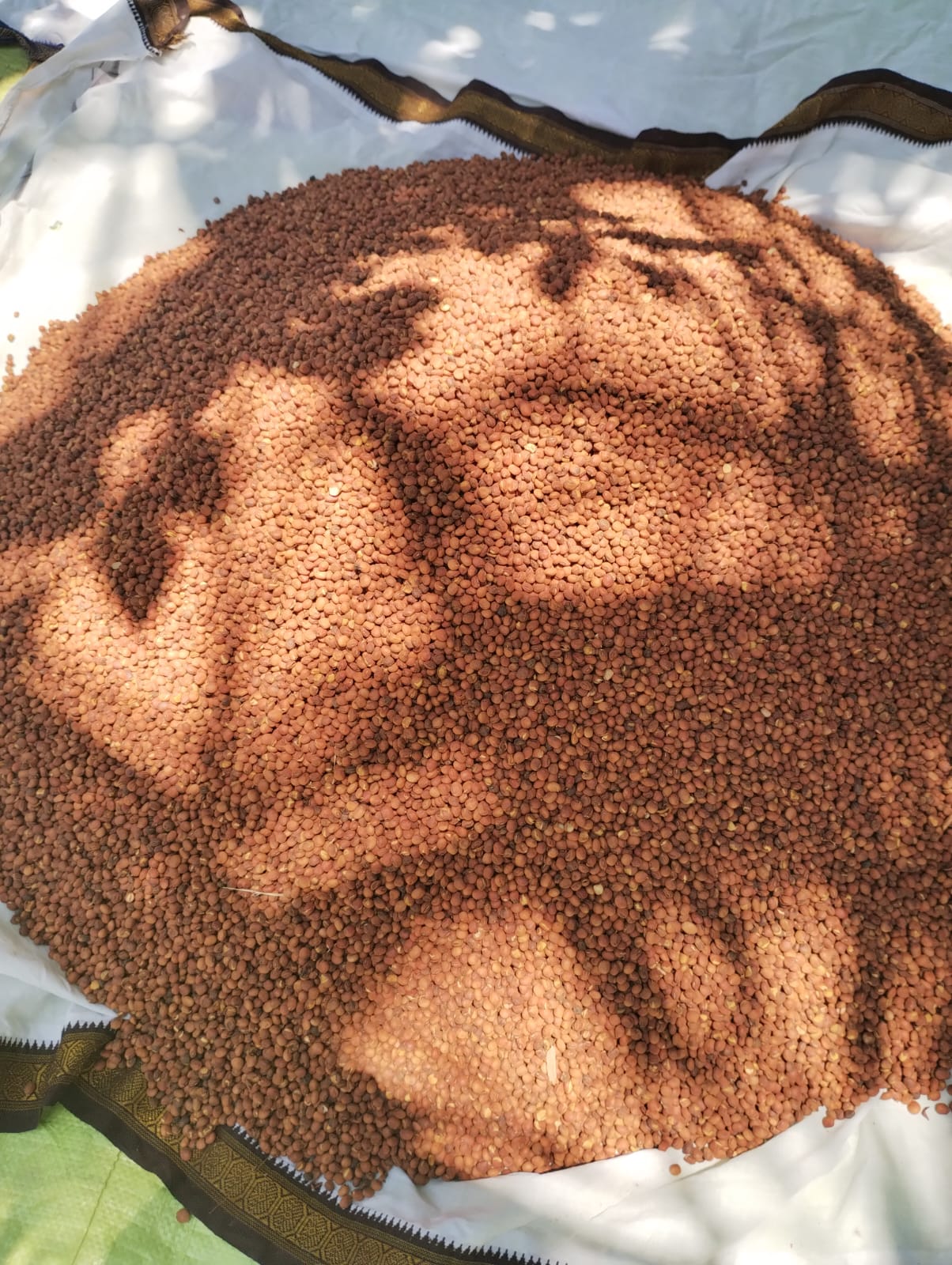 Unpolished and Stone grounded Tur Dal (Kandi Pappu) – Lekker foods